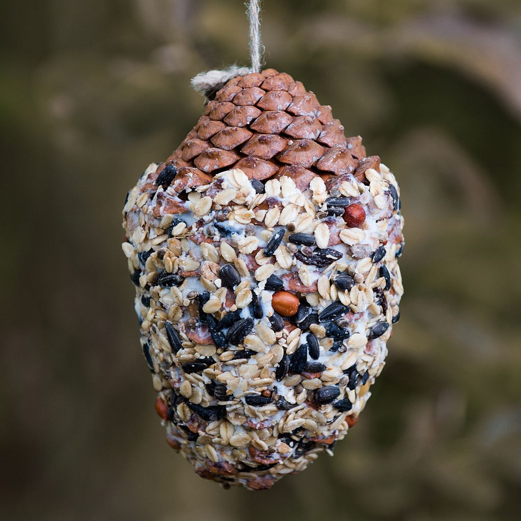 Haus & Wohnen bei Torquato